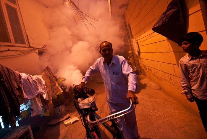 Fumigation ineffective against dengue, worsens respiratory problems ...