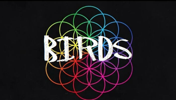 Did you check out Coldplay's new music video -- Birds? | Catch News