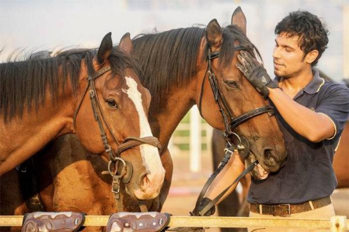 Main, Charles aur 9 horses: Randeep Hooda bats for animal rights ...
