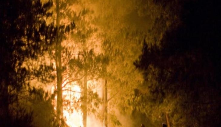 Under pressure over forest fires, Uttarakhand gives in to blackmail by ...
