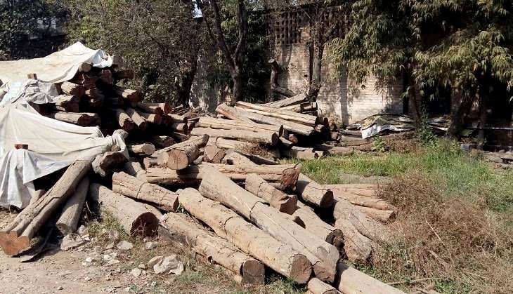 Demonetisation woes: Chhattisgarh's timber trade struggling to survive ...