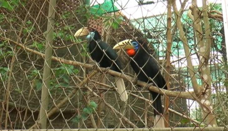 Nagaland Zoological Park emerging as biodiversity hotspot | Catch News