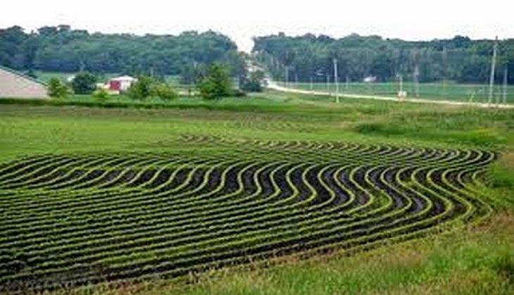 Global diet, farming methods 'must change for environment's sake ...
