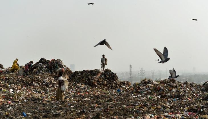 The Wasteland: Does Delhi have a way out of its garbage crisis | Catch News