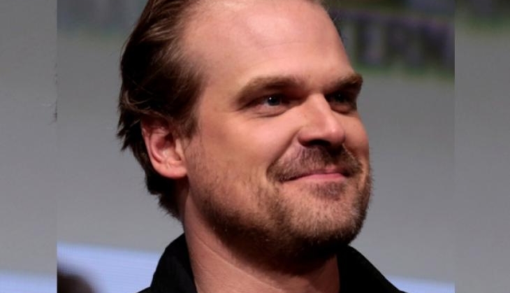 David Harbour finally dances with penguins in Antarctica | Catch News David Harbour finally dances with penguins in Antarctica | Catch News