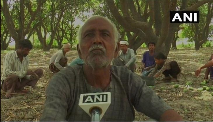 Thunderstorm: Uttar Pradesh farmers suffer loss of mango crop | Catch News