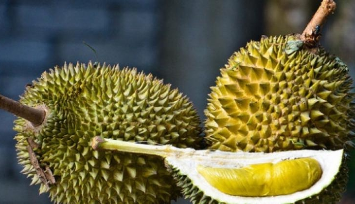 Southeast Asia's smelliest fruit: Thailand to send smelly fruit into ...