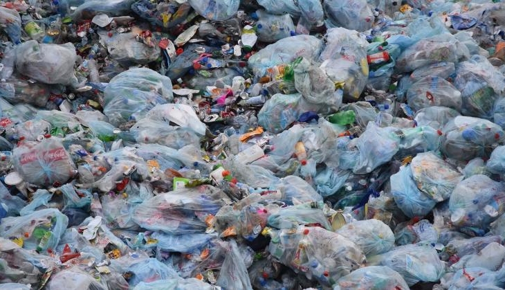 How is unrecycled plastic affecting environment? | Catch News