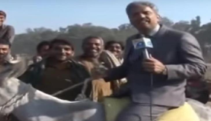 Viral Watch: Pakistani journalist falls off donkey during live ...