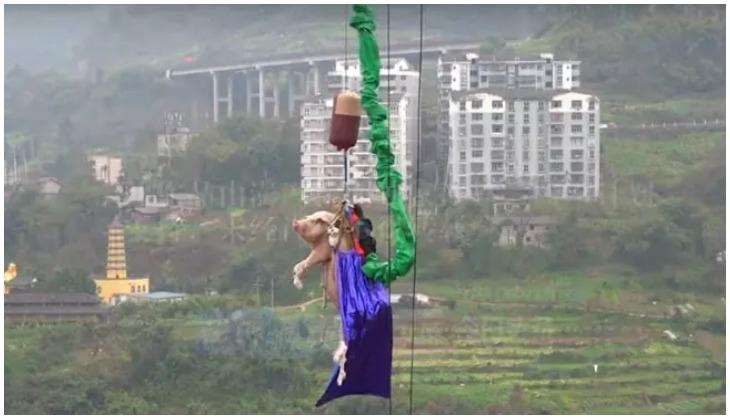 Chinese theme park forces pig to bungee jump from 223-foot high tower ...