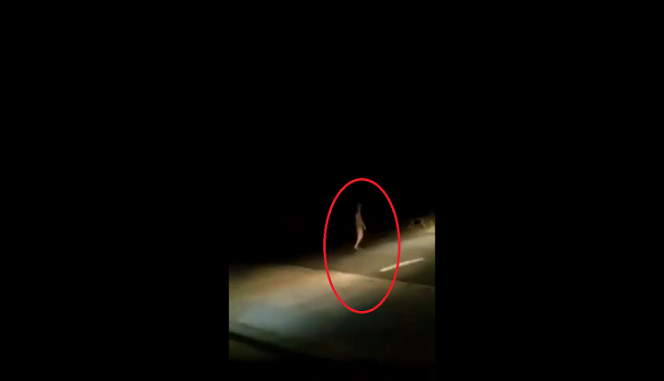 Horror! Alien like creature walking on road at night; video goes viral ...