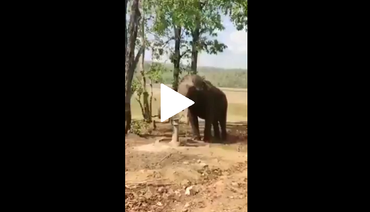 Elephant copies human style of drinking water from hand-pump; video ...