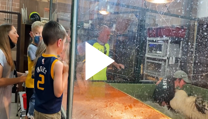 Horrifying! Alligator grabs woman zookeeper's hand during birthday ...