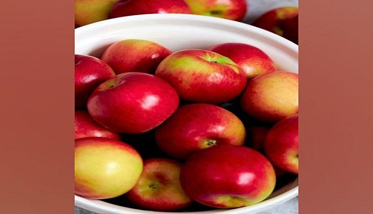 Adani Agri Fresh procures 2,500 tonnes of apples from farmers | Catch News