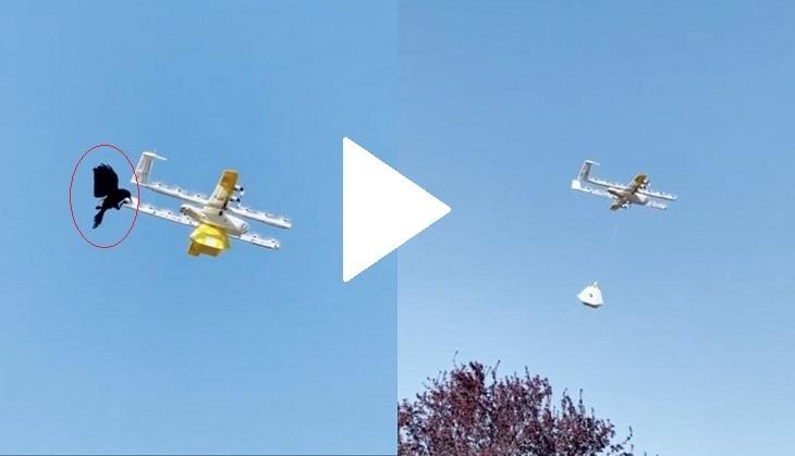 Horrifying video shows bird attacking a drone delivering coffee mid-air ...