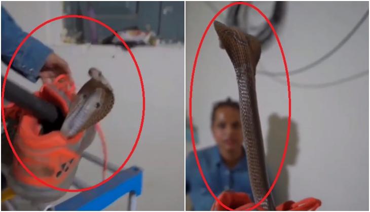 Snake hides inside man’s shoe; what happens next will give you ...