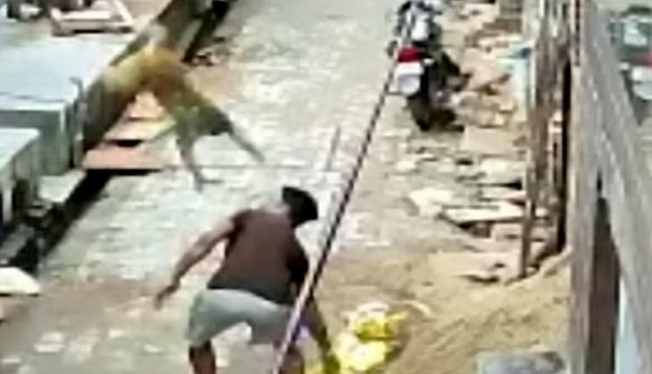 Monkey bodyslams man in WWE style; netizens call animal John Cena ...