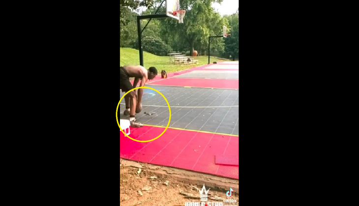 Viral Video: Squirrel challenges humans for one-on-one basketball match ...