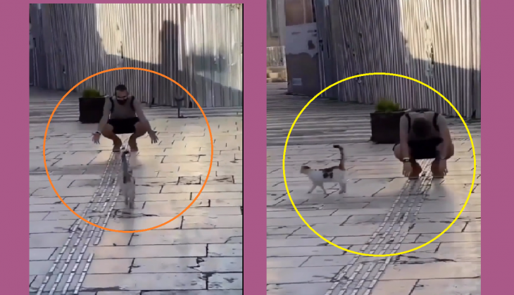 Watch: Man tries to hug pet cat, gets ignored in hilarious viral video ...