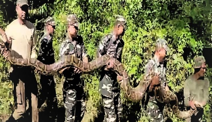 100kg python rescued in Assam's Udalguri district | Catch News